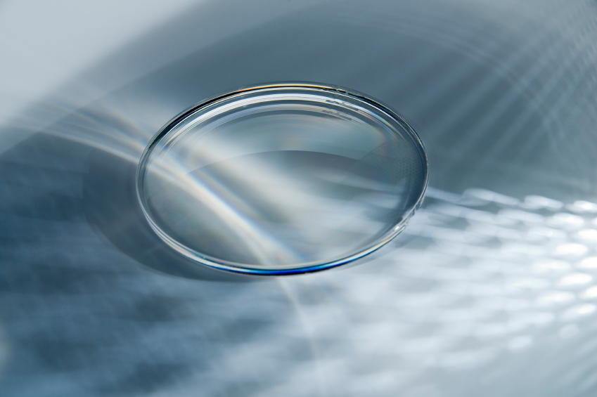 PROKERA Biologic Corneal Bandage Passaic NJ